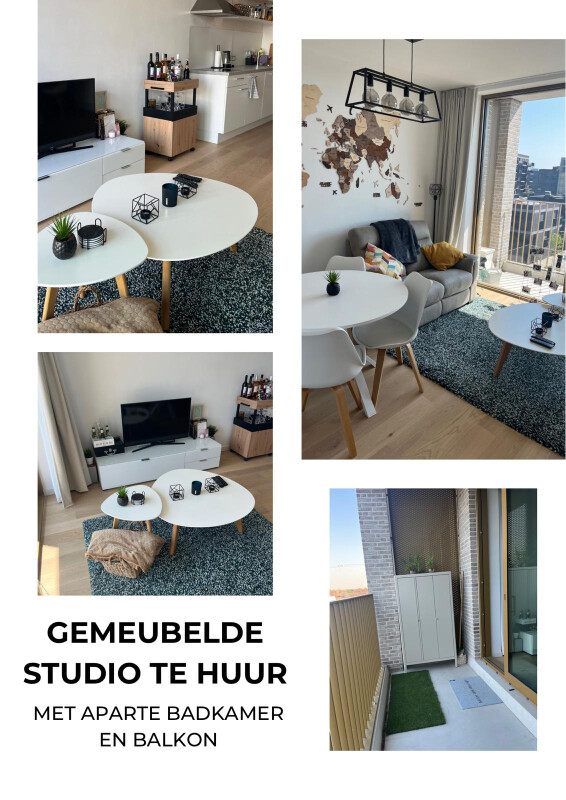 Studio in Antwerpen te huur: Amand de Lattinlaan, Linkeroever - Studio ...